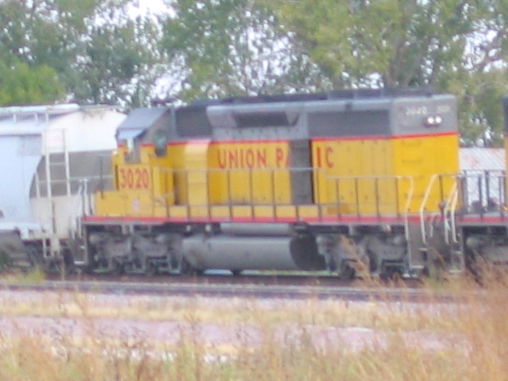 Somebody Left a Door Open....